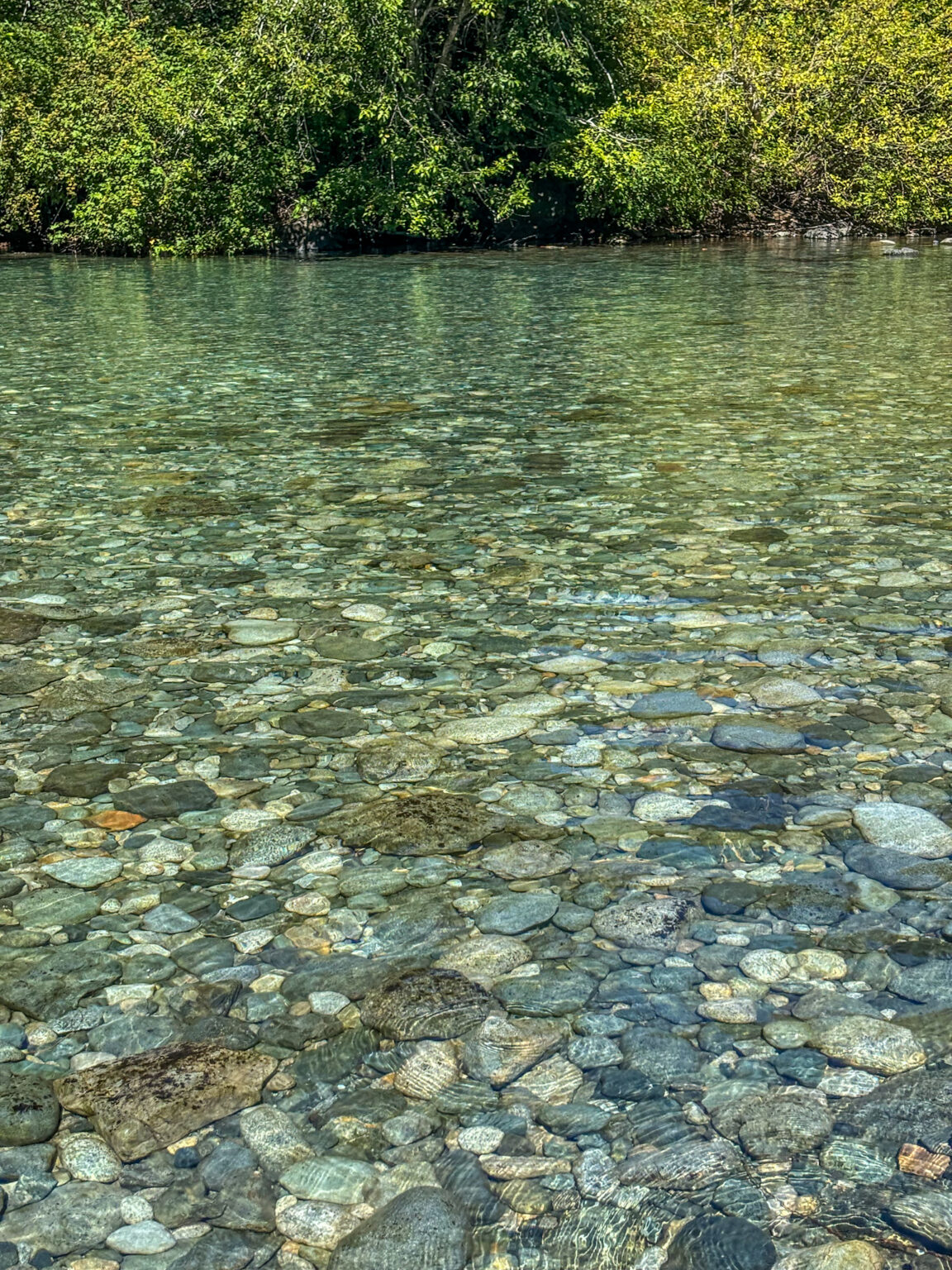 Taylor River Rest Area – Vancouver Island